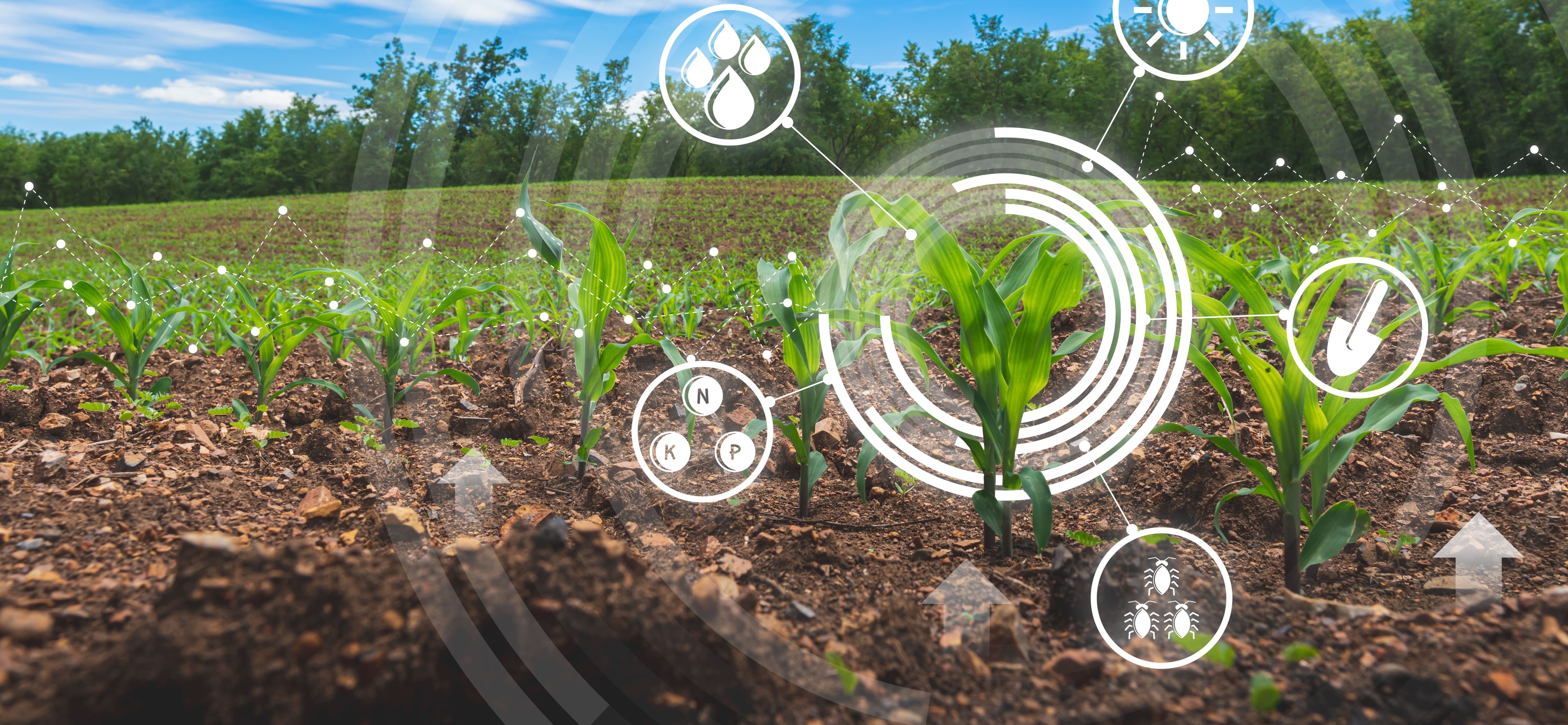 Agricultura inteligente: como funciona e quais os benefícios